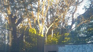 Piscina com borda azulejada, rodeada por um muro baixo e uma cerca.
