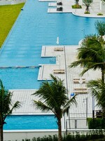 Uma grande piscina com várias pistas de natação, rodeada por palmeiras e áreas de descanso.