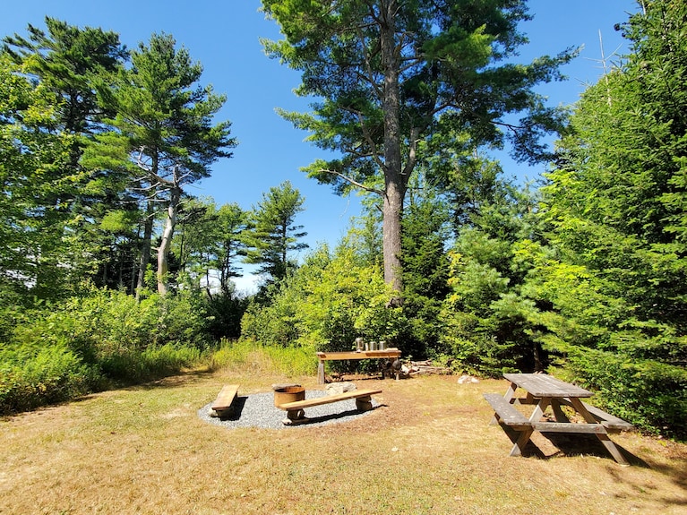Chickadee Hollow: Rustic Eco Camping Near Acadia National Park! - Maine