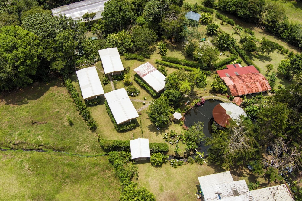 Blue Morpho Lodge - Bajos del Toro