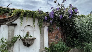 Terraço/pátio