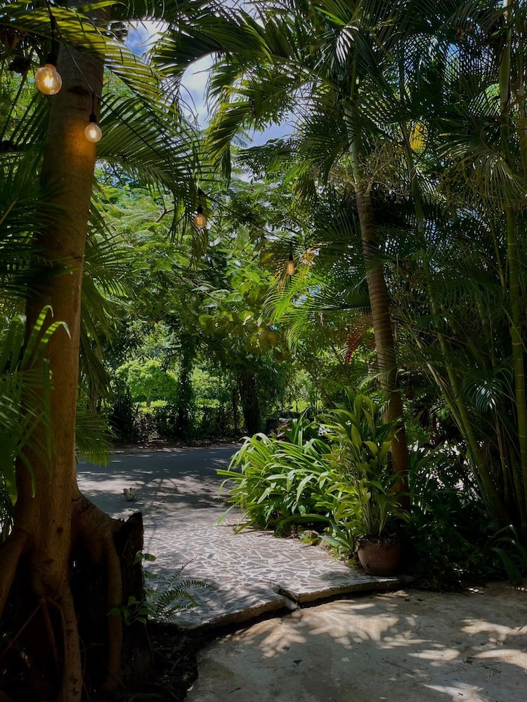 Ganesh Hostel - Caribbean