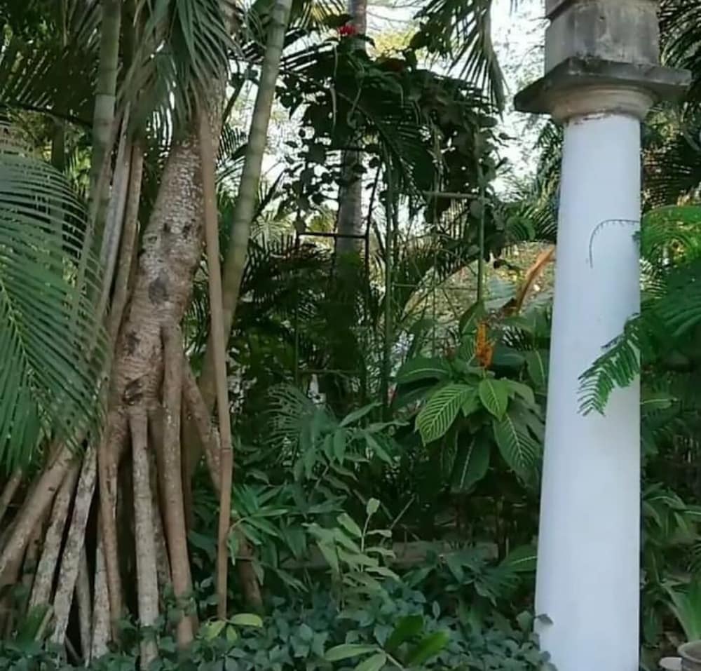 Kiota Jungle Homestay - Dar es Salaam