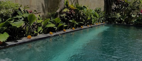 Piscina externa