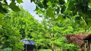 Um jardim com um coreto, árvores e uma estrutura de madeira.
