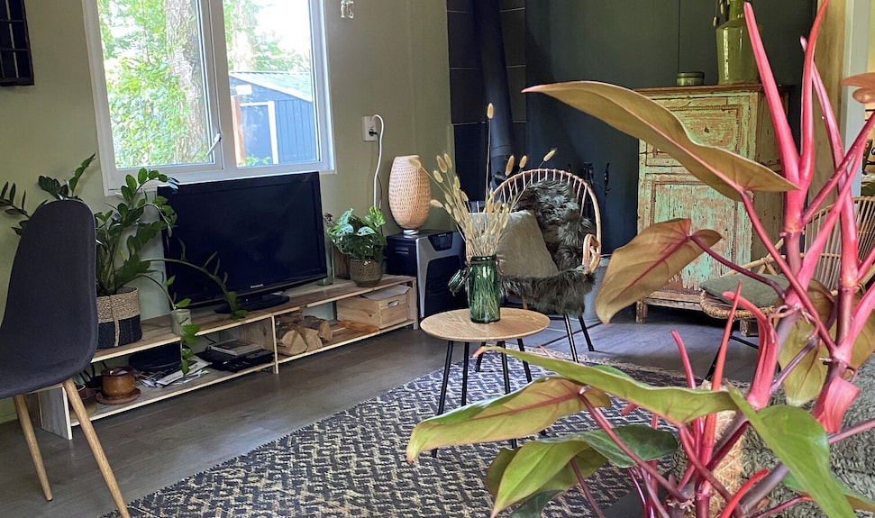 Boshuisje Op De Veluwezoom - Brummen