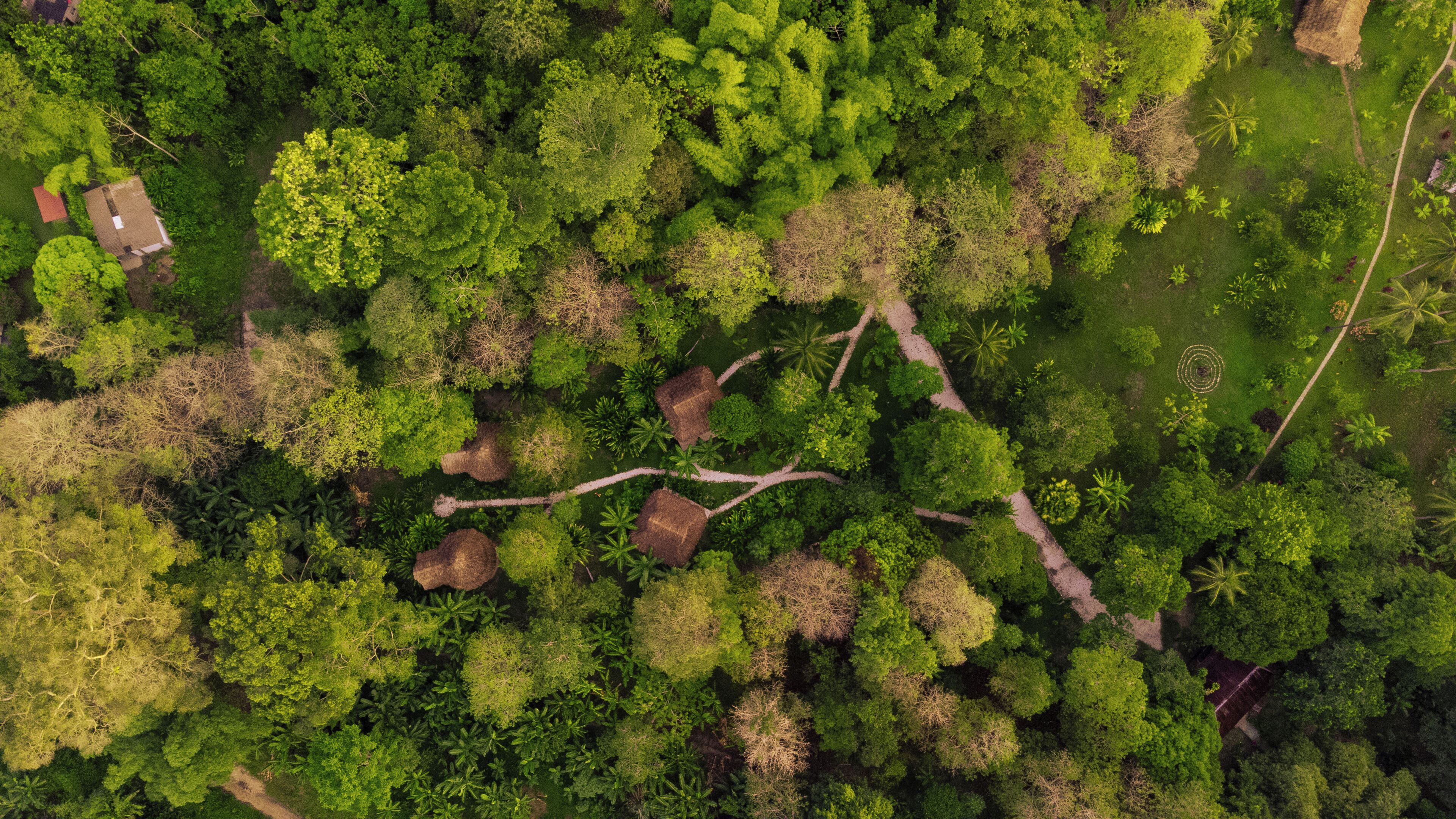Vista aérea de uma área florestada com alguns edifícios dispersos.