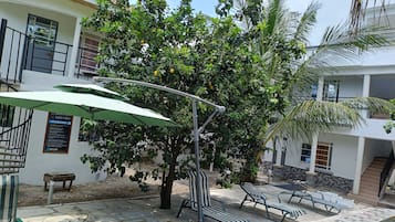 Terraço/pátio interior