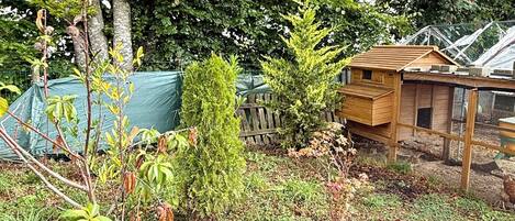 Terraço/pátio interior