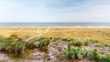 Uma praia com um caminho de areia que leva à água, cercada por vegetação rasteira e dunas.