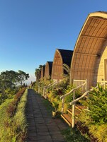 Cabana luxo, sacada, vista para o jardim | Área de estar | TV