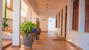 Um corredor com chão de azulejos, plantas em vasos e janelas com moldura de madeira.
