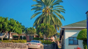 Uma rua residencial com palmeira, carro estacionado e casas com paredes de tijolo e telhados de cerâmica.