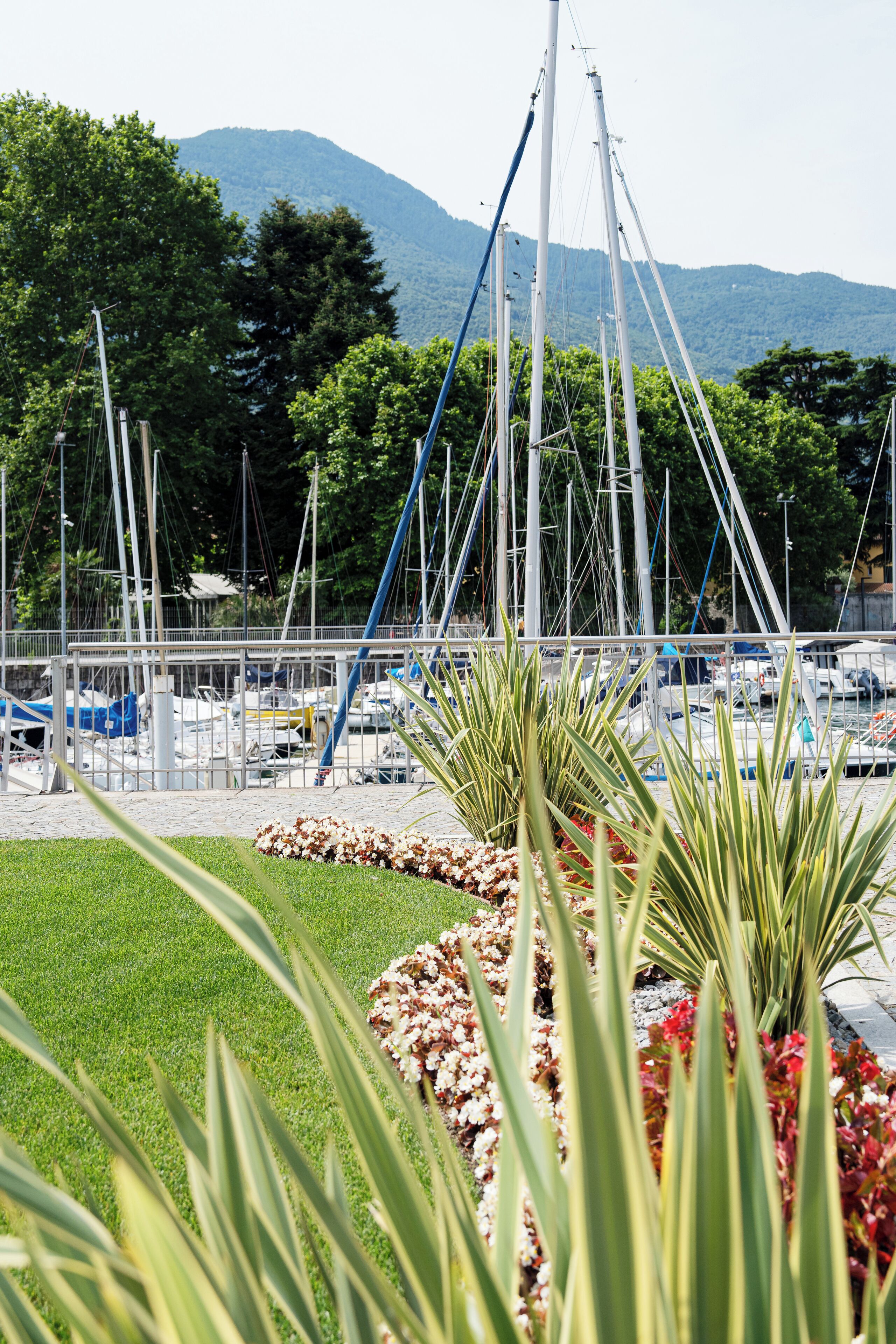 Uma marina com vários barcos atracados, rodeada por vegetação e um cenário montanhoso.
