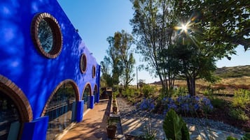 Vila design, vista para o vinhedo | Terraço/pátio