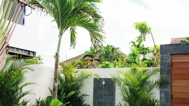 Piscina com deck de madeira, cercada por vegetação exuberante e um muro de pedra.
