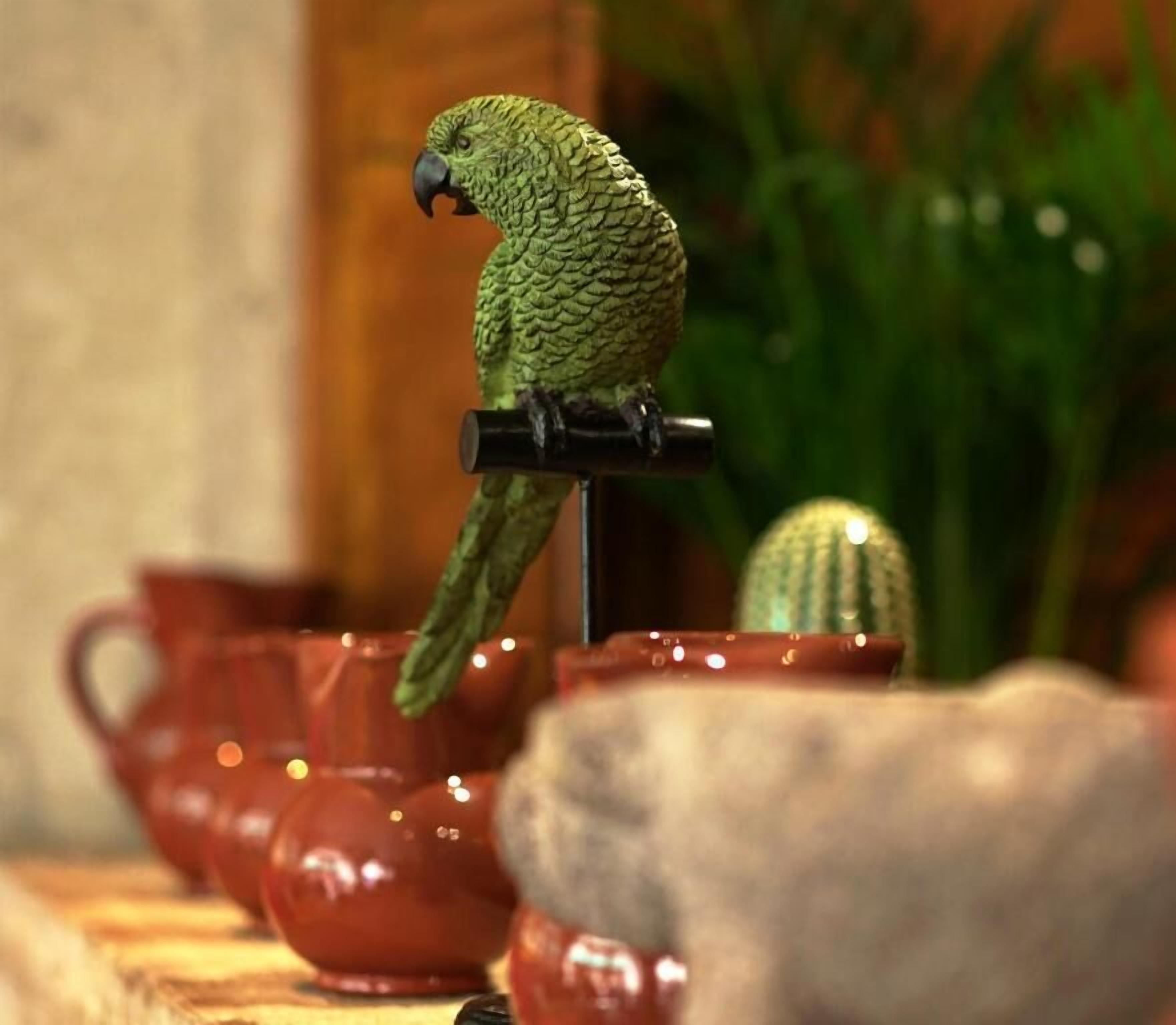 Um papagaio empoleirado em um suporte, em frente a uma fileira de bules vermelhos.