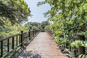 Jardim