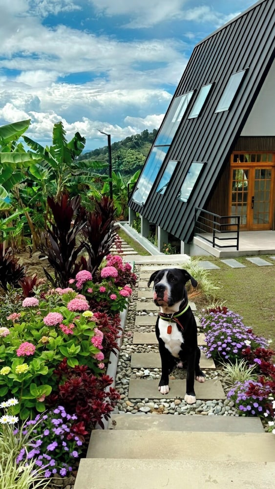 Arewá Biohabitat - Quindío