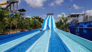 Apartamento (1 Bedroom) | Interior