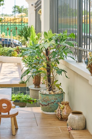 Jardim