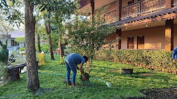 Quarto Clássico com Cama de Casal, varanda, vista para o jardim | Terraço/pátio interior