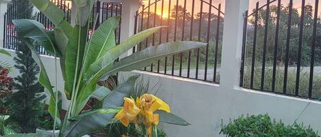 Quarto conforto, vista para a montanha | Fachada