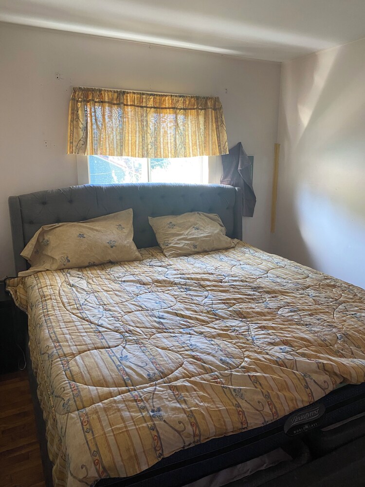 Bright and comfortable Pet Friendly Salt Spring Home surrounded by ...