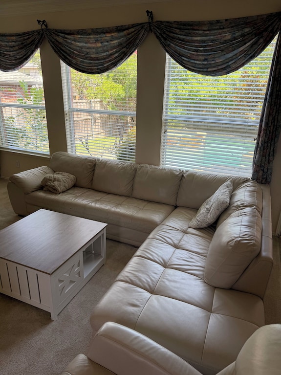 Spacious 5-bedroom House In Serene Plano With Pool - Plano, TX