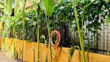 Jardim