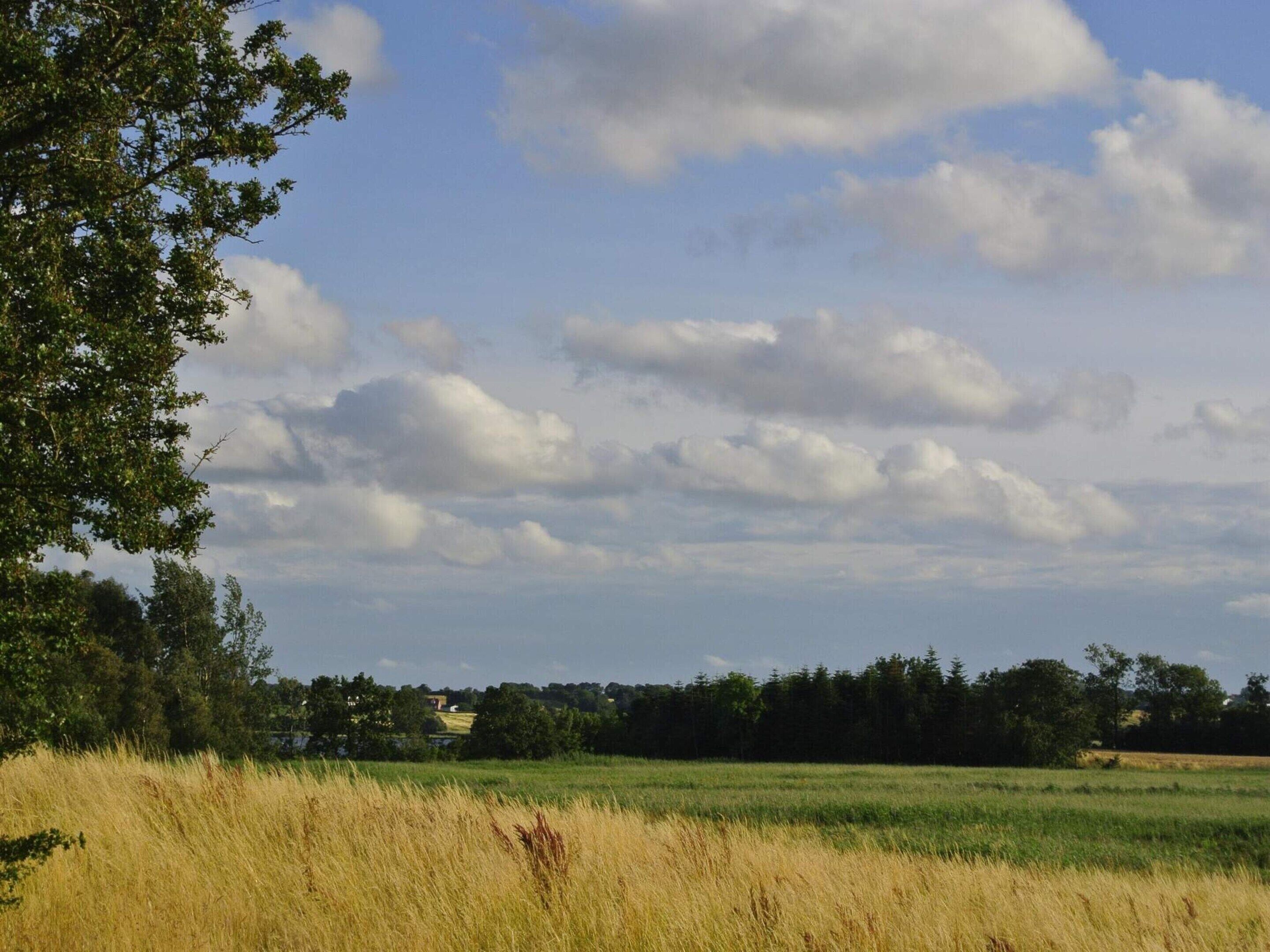 Paisagem rural com um campo, árvores e céu parcialmente nublado.