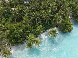 Vista para praia/oceano