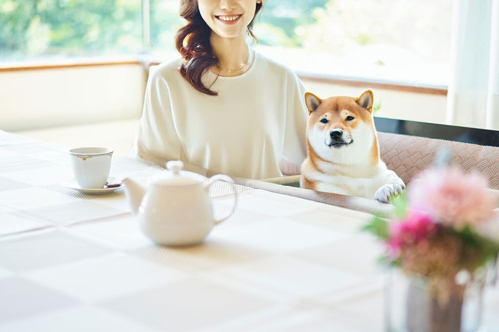 Uma pessoa sentada à mesa com um bule e uma chávena, um cão ao lado e uma janela ao fundo.