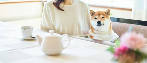 Uma pessoa sentada à mesa com um bule e uma chávena, um cão ao lado e uma janela ao fundo.