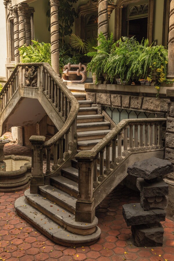 Maison Lezard - Mexico City