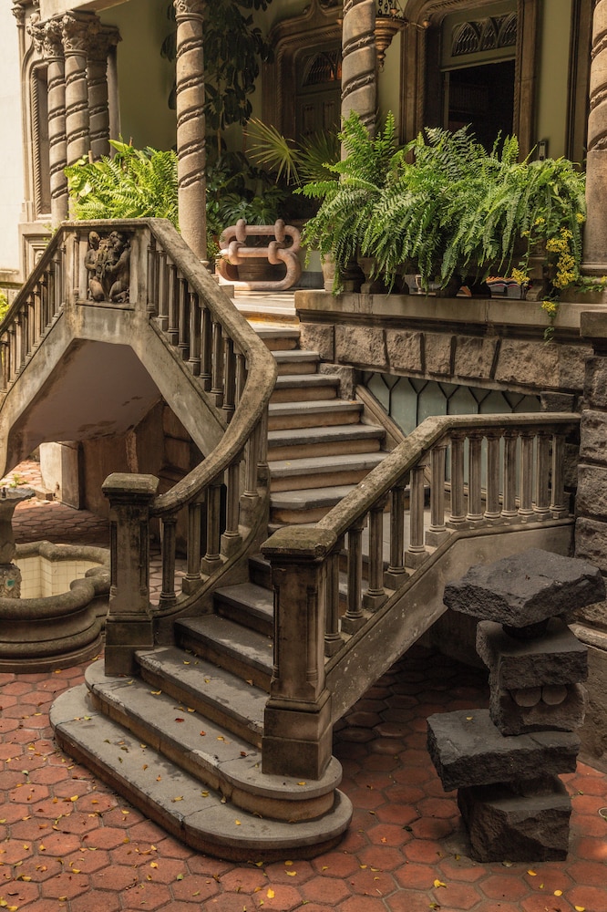 Maison Lezard - Mexico City