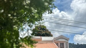 Um edifício de dois andares com telhado de telhas vermelhas, porta de garagem verde e uma pequena varanda com um vaso de planta.