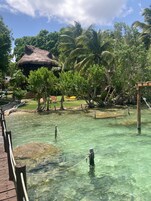 Cabana superior, vista para a lagoa | Espaço de trabalho para notebook, camas extras/dobráveis (sobretaxa)