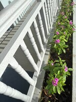 Suíte família, vista para a cidade | Vista do quarto