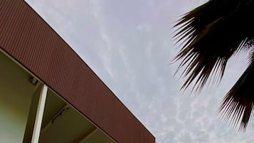 Apartamento | 3 quartos