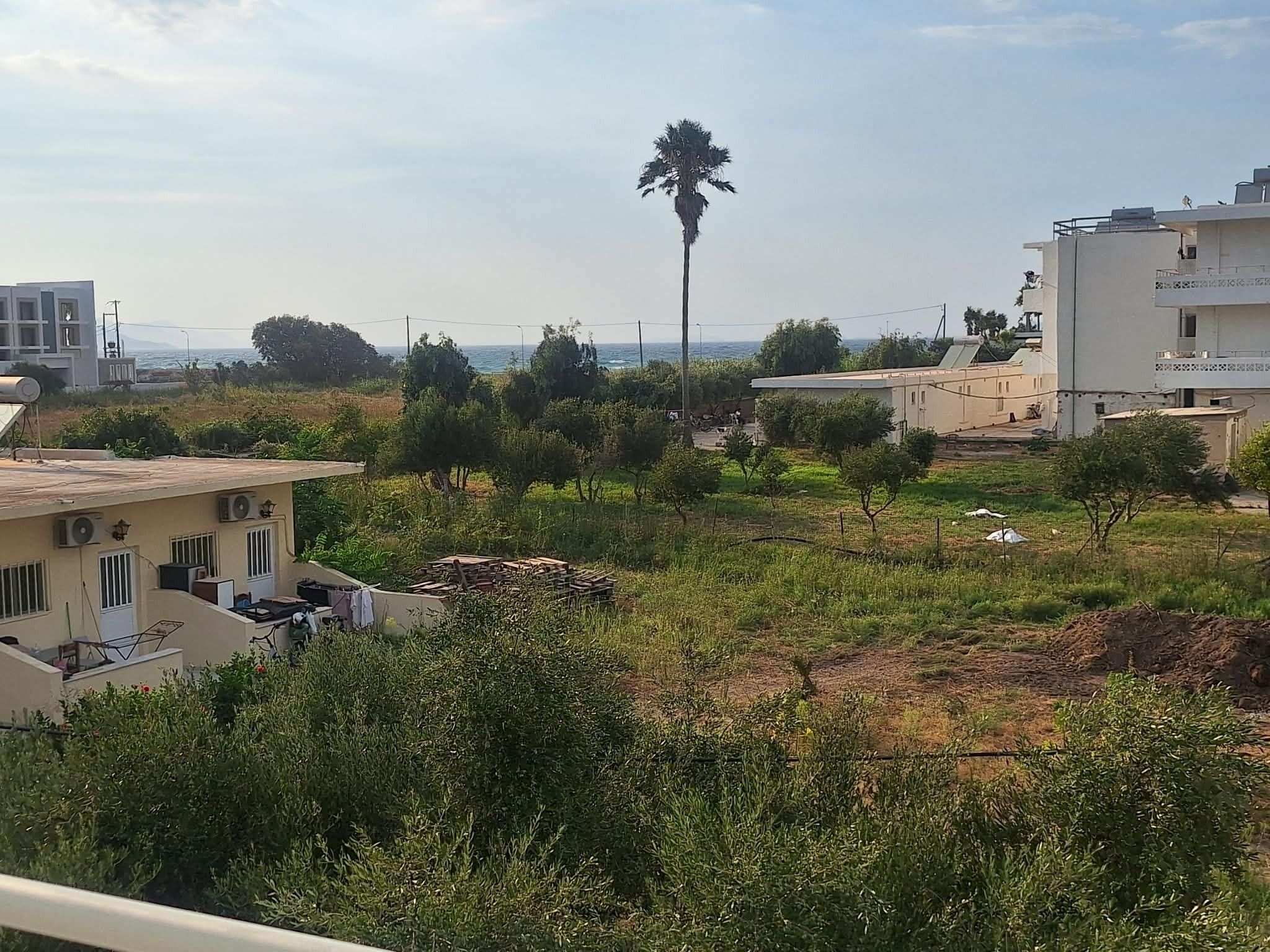 Área residencial com edifícios, uma palmeira e vista para o mar.