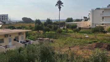 Área residencial com edifícios, uma palmeira e vista para o mar.