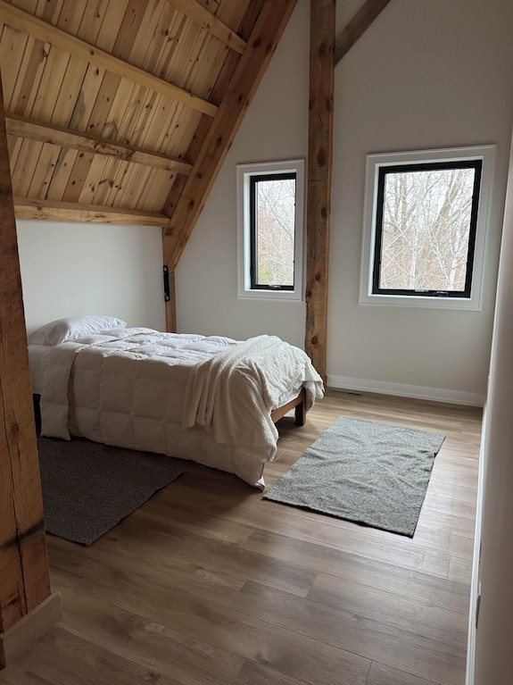 Private 5 Br/4 Bath Home On Lake Zumbro W/ Amazing Vistas Nearby Mayo Clinic - Pine Island, MN