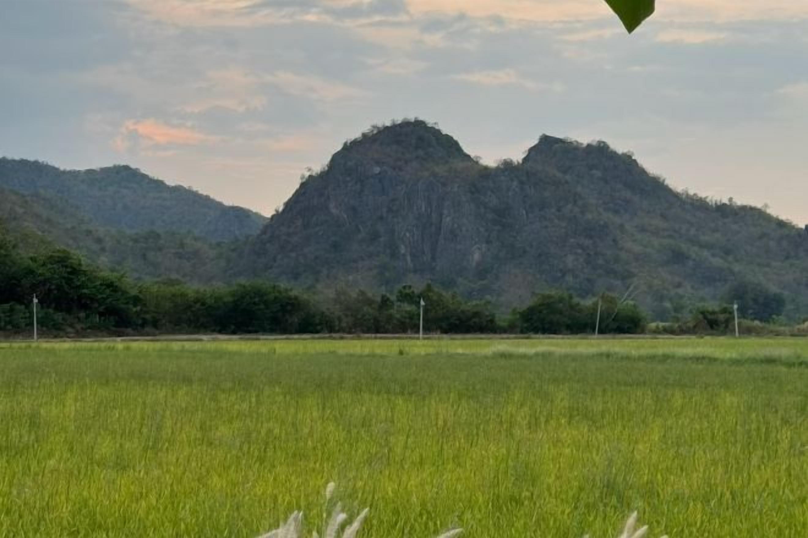 Um campo com uma montanha ao fundo.