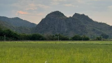 Um campo com uma montanha ao fundo.