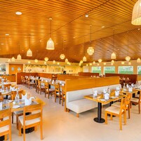 Um restaurante amplo com mesas e cadeiras de madeira, teto alto com luminárias pendentes e vista para o verde lá fora.