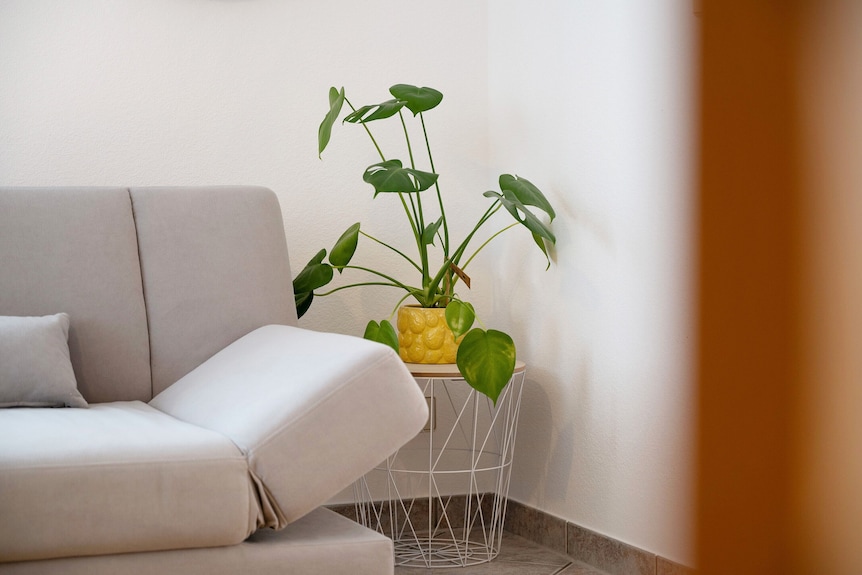 Appartement 'Malia' Avec Terrasse Partagée, Jardin Partagé Et Wi-fi - Calw