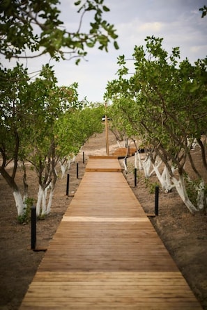 Terrenos do alojamento