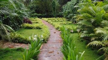 Jardim