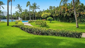 Paisagem verde exuberante com piscina, palmeiras e um jardim bem cuidado.